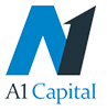 Intercapital Group AD | Investor Relations / Filings / Financial statement
