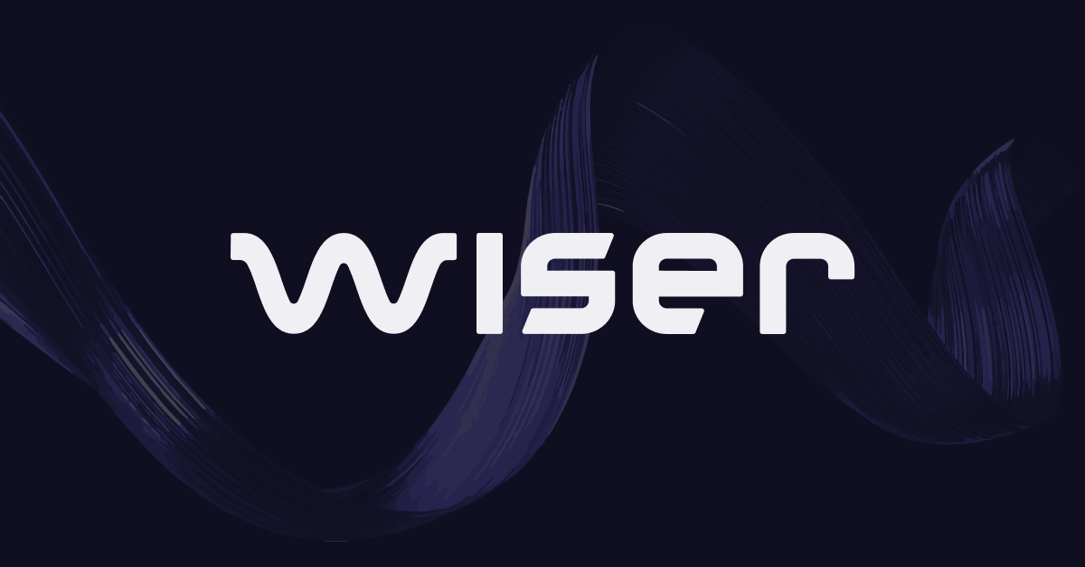 Wiser Technology AD | Investor Relations / Filings / Financial statement